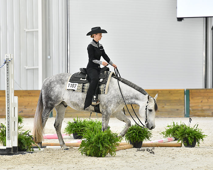 About Southerly – Ride Southerly